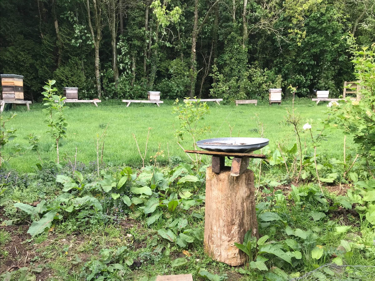 Apiary 2020 – Meon Valley Beekeepers